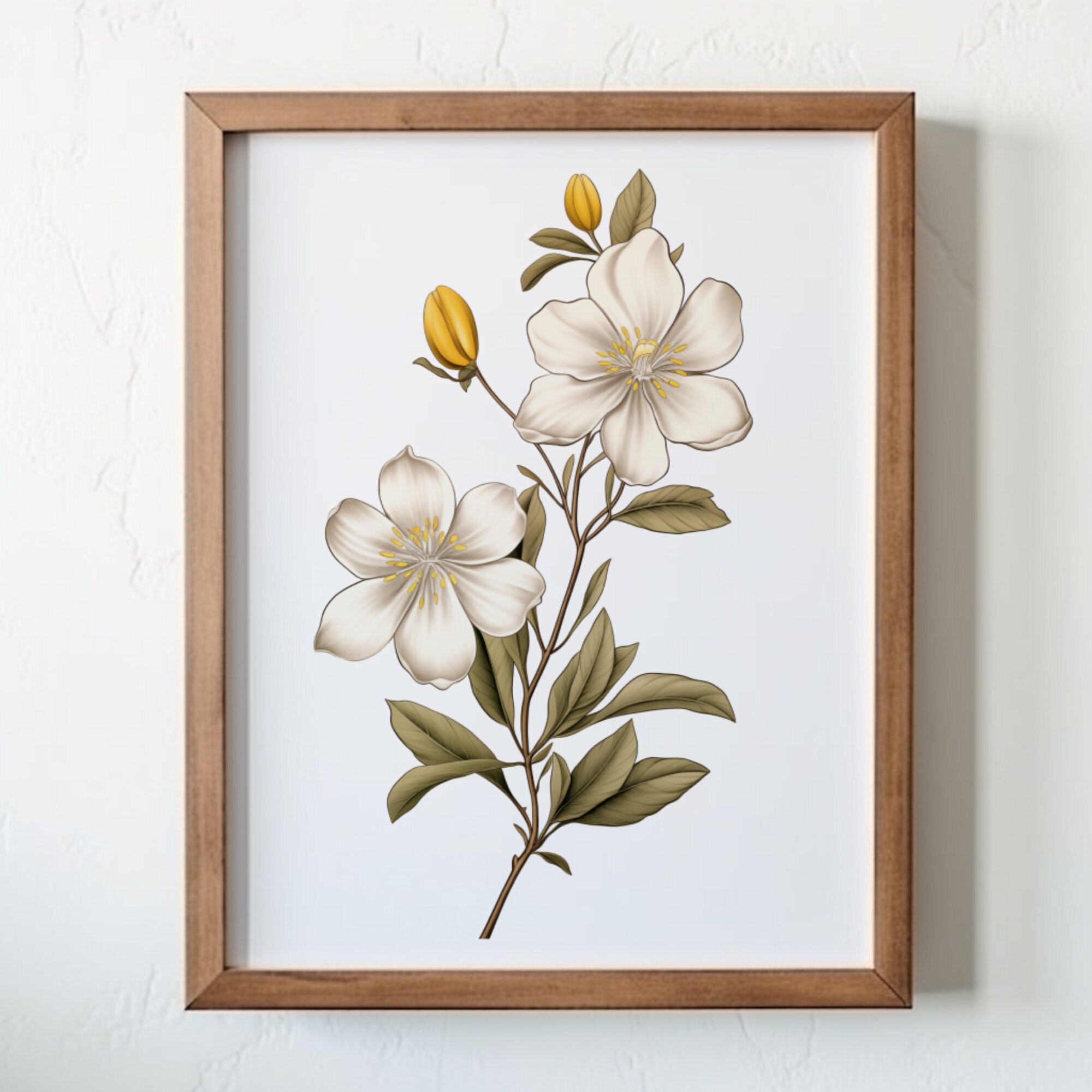 SOUTH CAROLINA Yellow Jessamine State Flower Line Art Flower Line Art ...