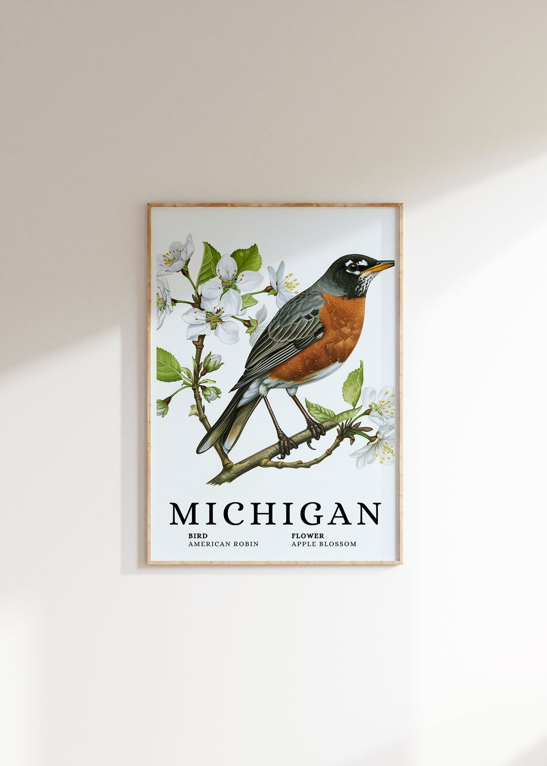 MICHIGAN American Robin State Bird and Apple Blossom Art Print - Robin ...