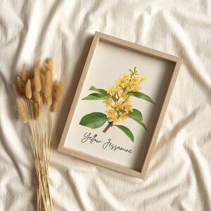 SOUTH CAROLINA Yellow Jessamine State Flower Line Art - Flower Line Art ...