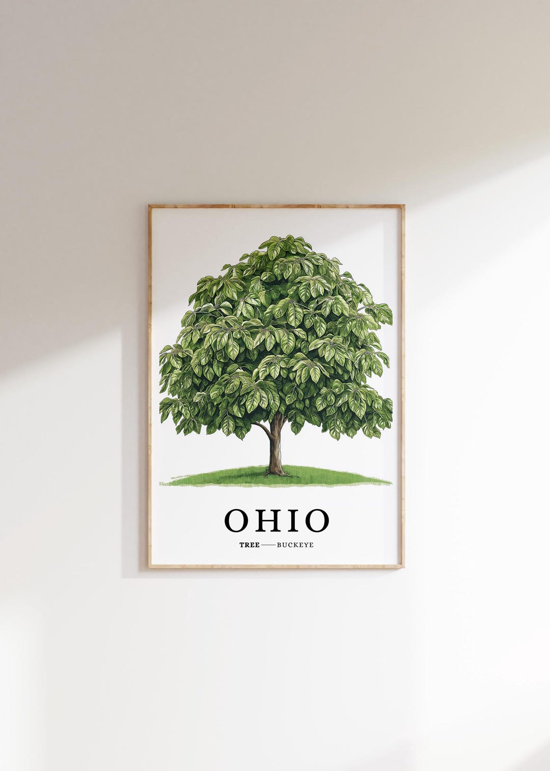 Ohio State Tree Print | Buckeye Tree | Printable Southern Wall Art ...