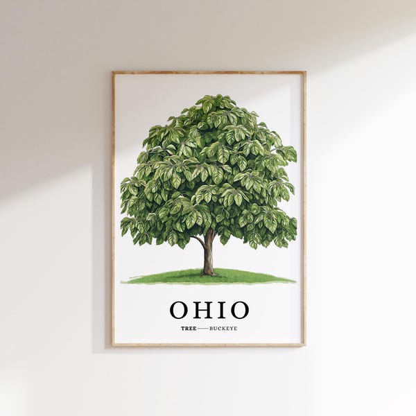Buckeye Tree - Etsy