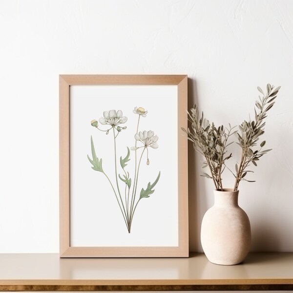 Bitterroot Flower - Etsy