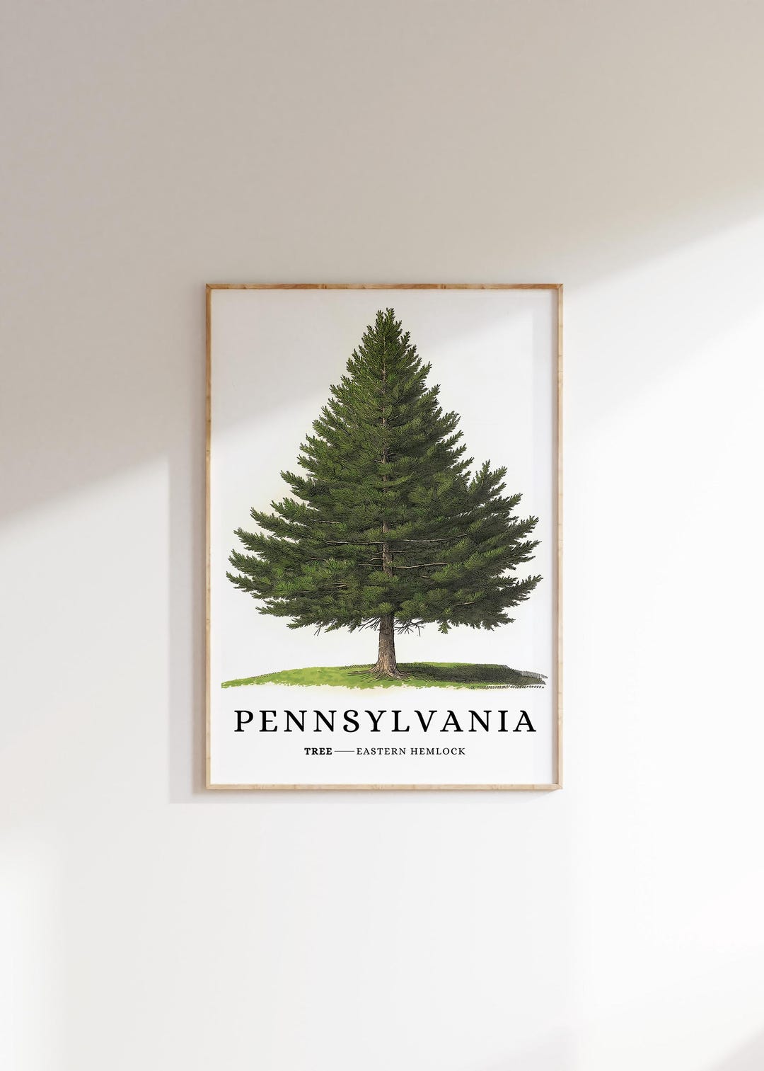 Pennsylvania State Tree Print | Eastern Hemlock Tree | Printable ...