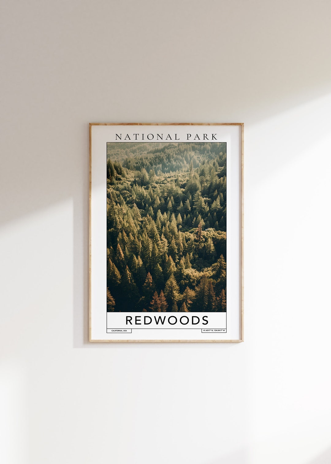 Redwood National Park Travel Poster: California Redwoods Print (digital ...