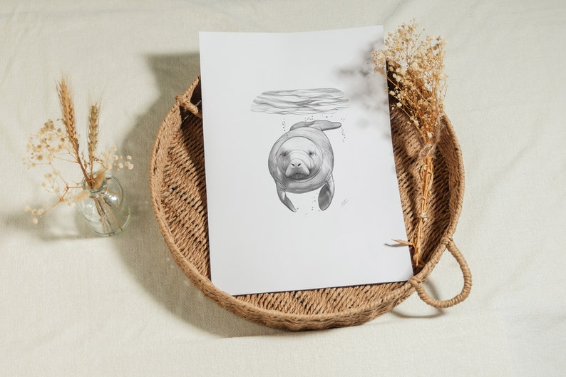 Manatee Pencil Drawing: Sealife Aquatic Art (printable Wall Art) - Etsy