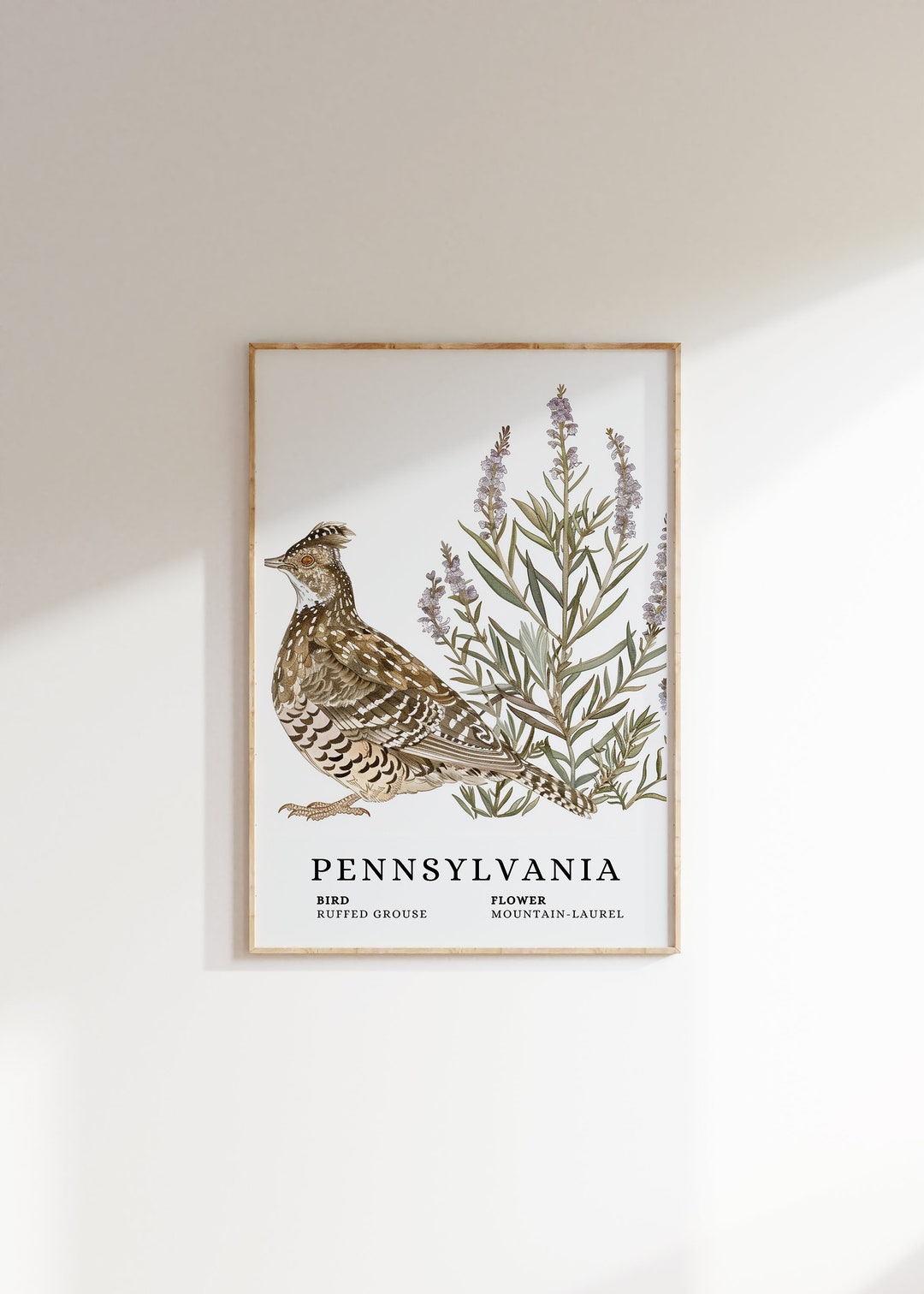 PENNSYLVANIA Ruffed Grouse State Bird and Mountain Laurel Art Print ...