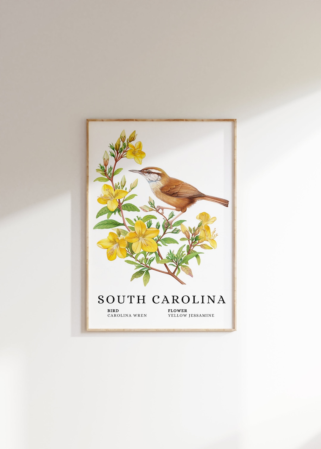SOUTH CAROLINA Carolina Wren State Bird and Yellow Jessamine Flower Art ...