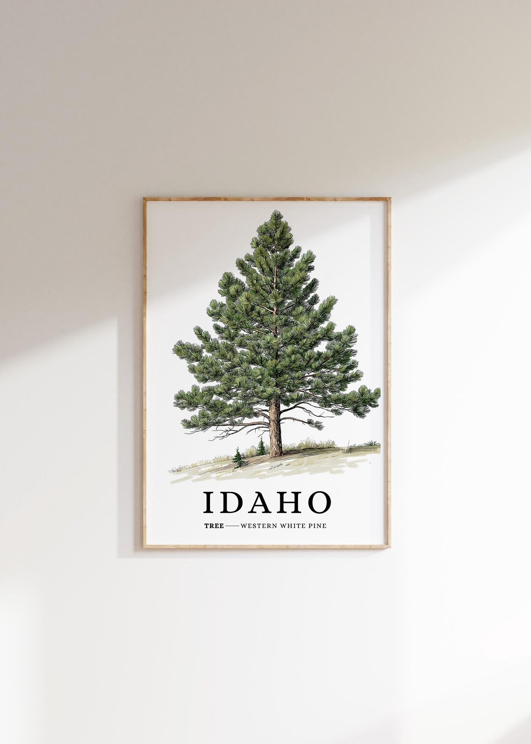 Idaho State Tree Print | White Pine Tree | Printable Western Wall Art ...
