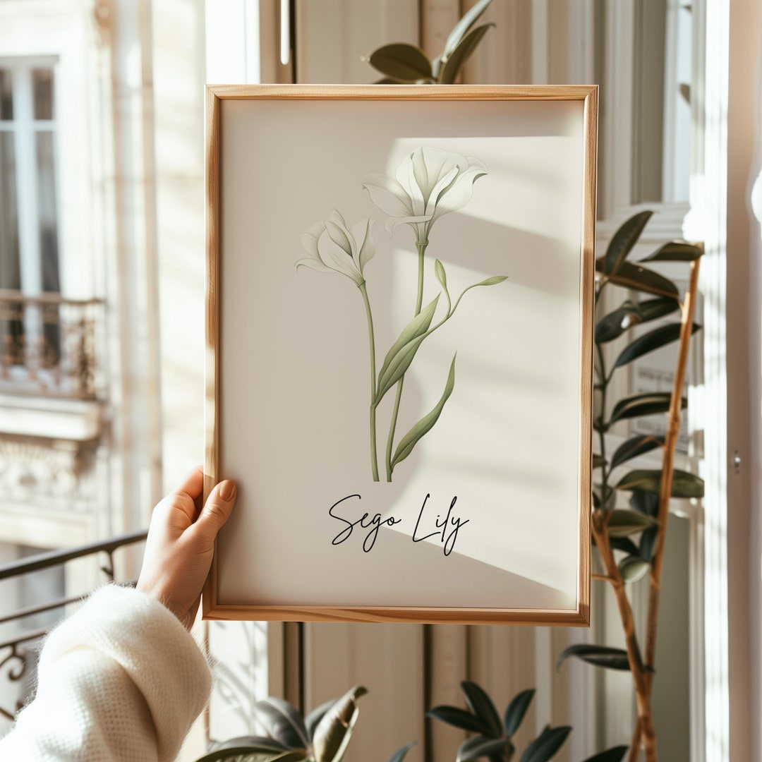 UTAH - Sego Lily State Flower Line Art - Minimalistic Flower Line Art ...