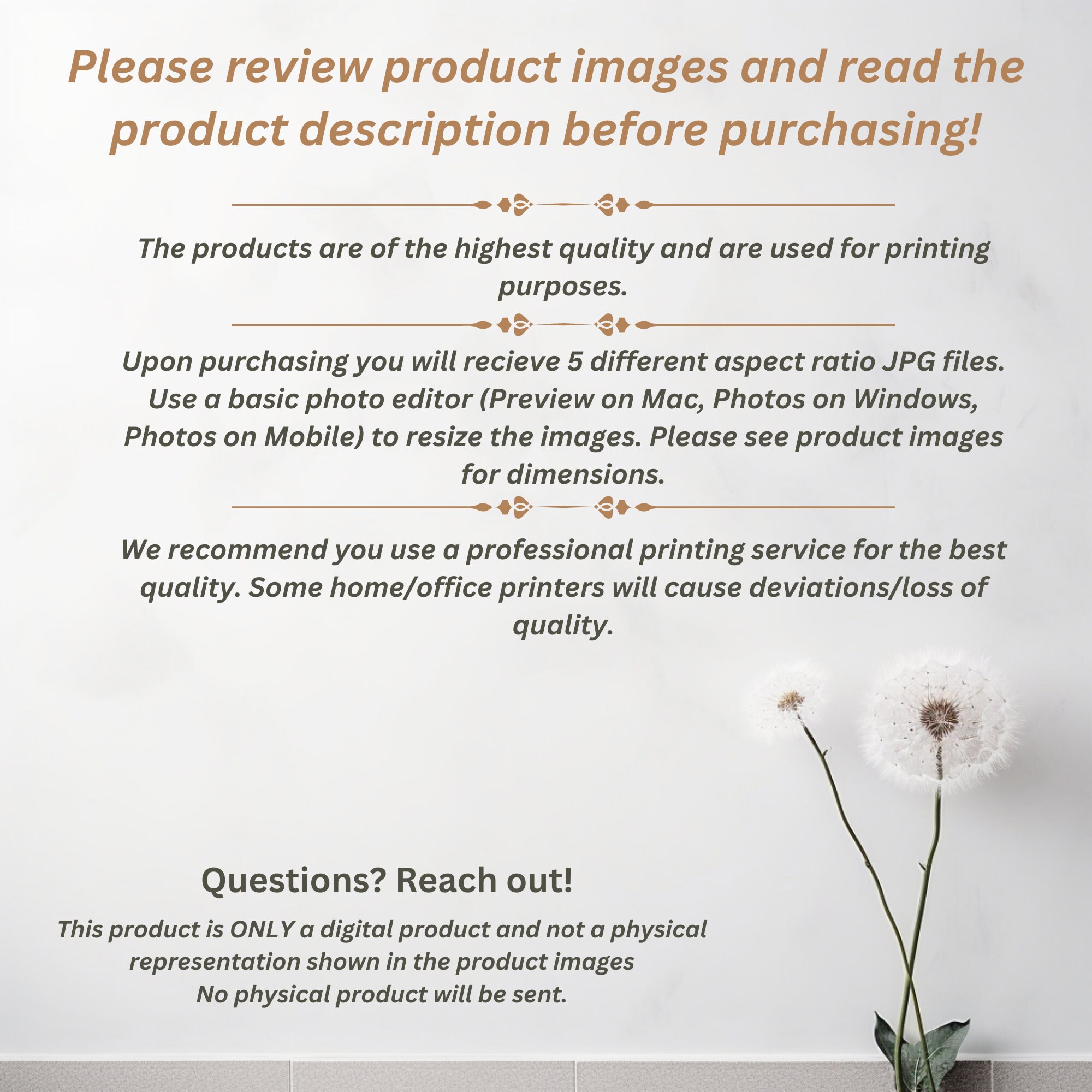 SOUTH CAROLINA Yellow Jessamine State Flower Line Art Flower Line Art ...