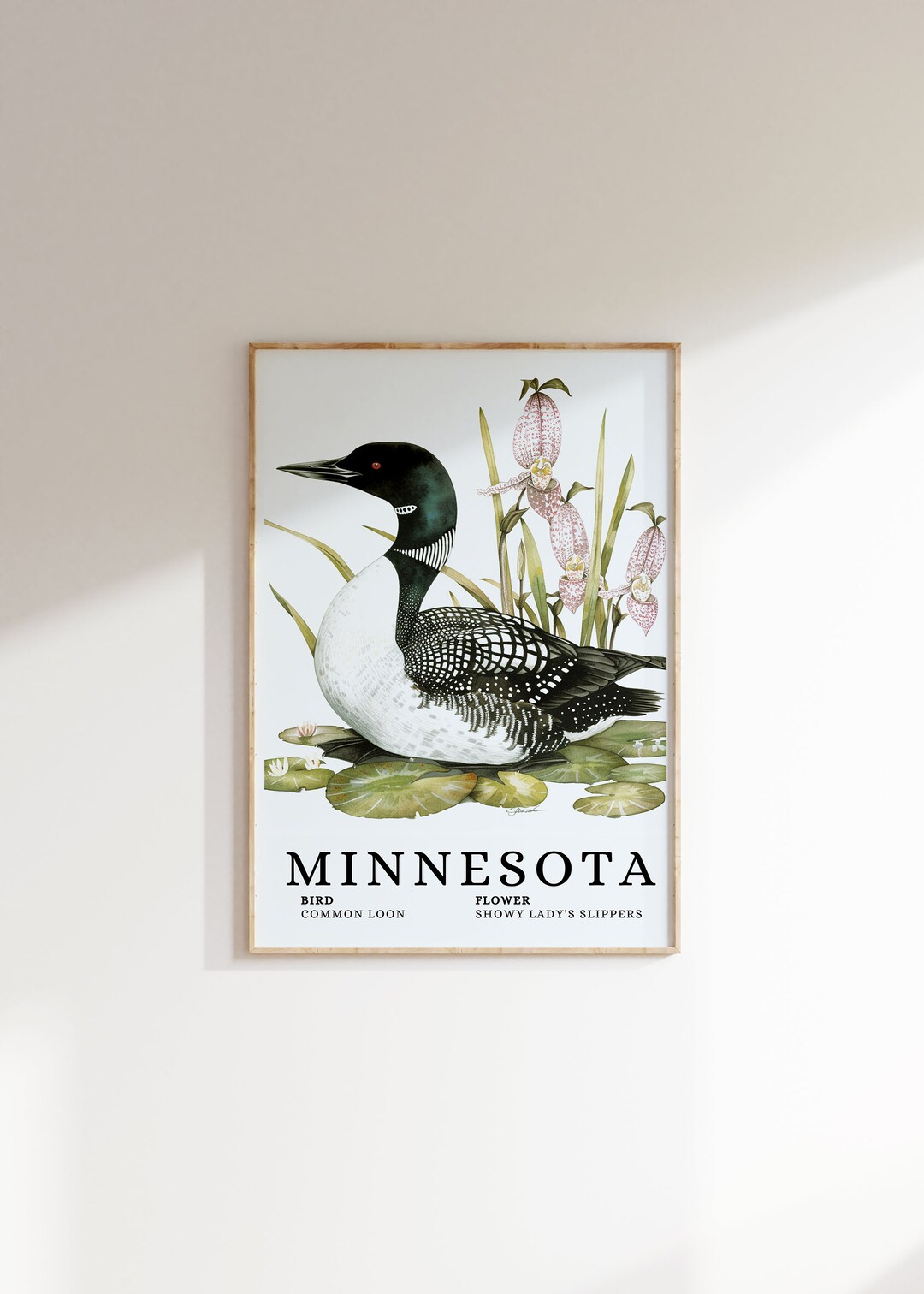 MINNESOTA Common Loon State Bird and Snowy Lady's Slippers Art Print ...