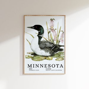 MINNESOTA Common Loon State Bird and Snowy Lady's Slippers Art Print ...
