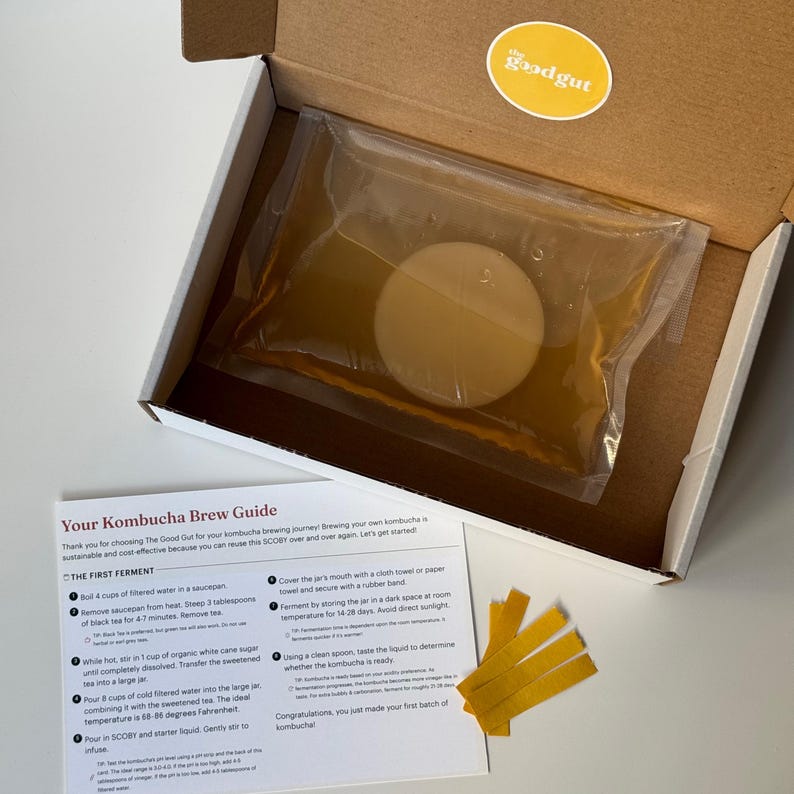 Kombucha SCOBY Starter Kit, Ph Strips & Instructions - Beginner ...
