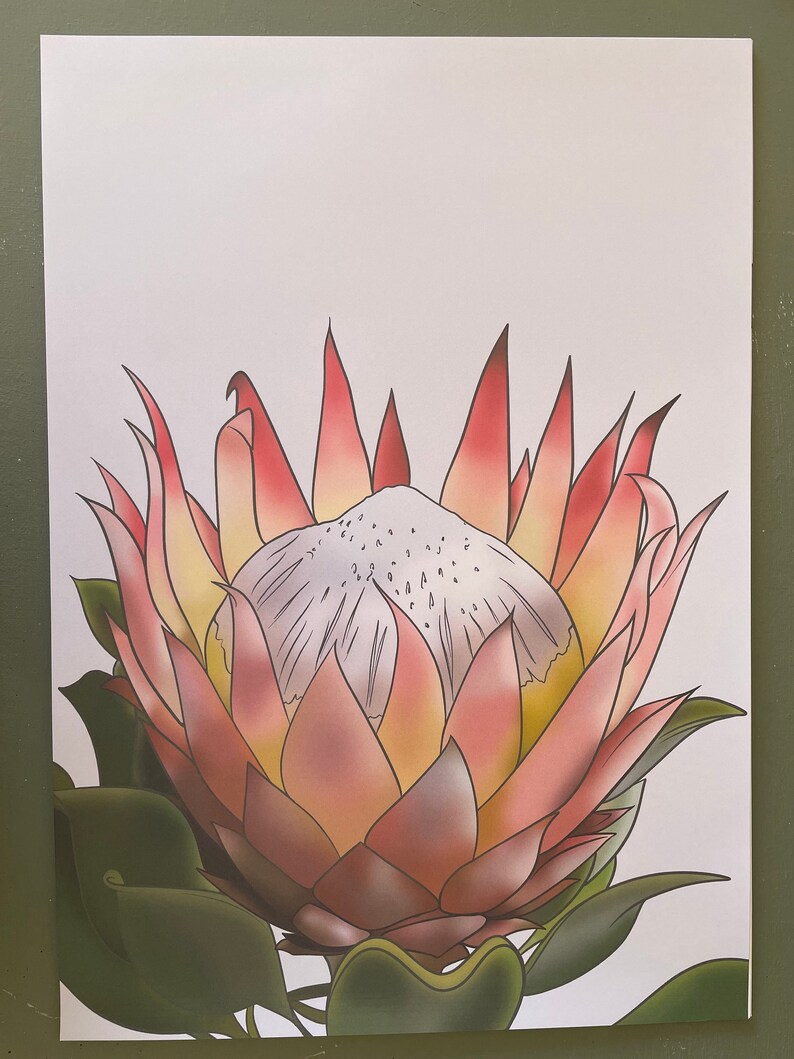 Protea Print Digital Download - Etsy
