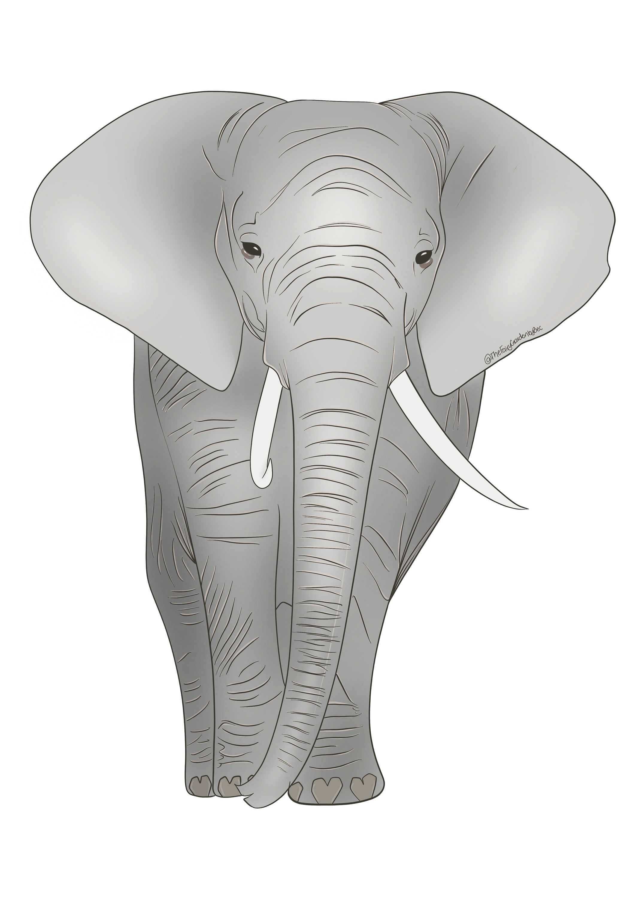 Elephant Digital Download - Etsy