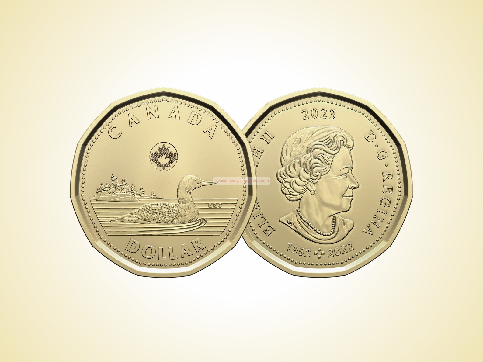 2023 Loonie Canadian Special 1 Dollar LIMITED EDITION Canadian One ...