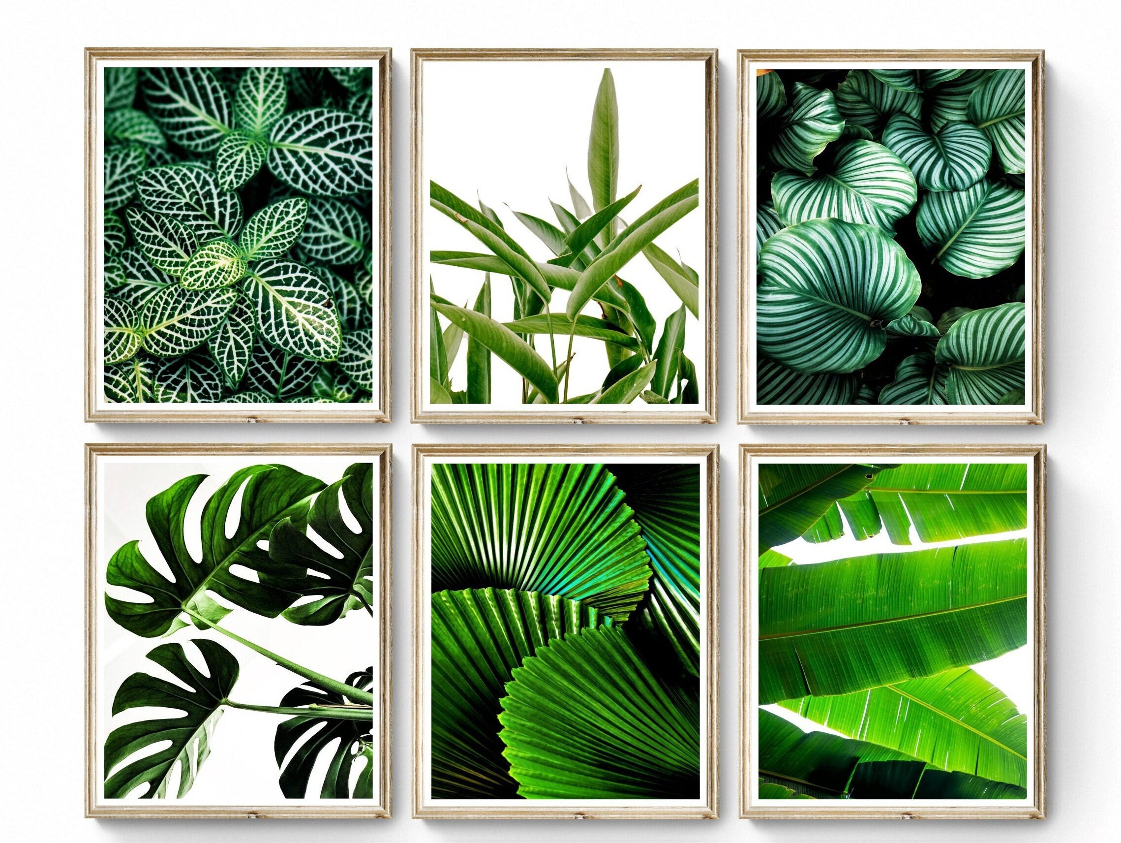 Set of 6800 Wall Art Prints, Gallery Wall Prints, Beach Prints, Winter ...