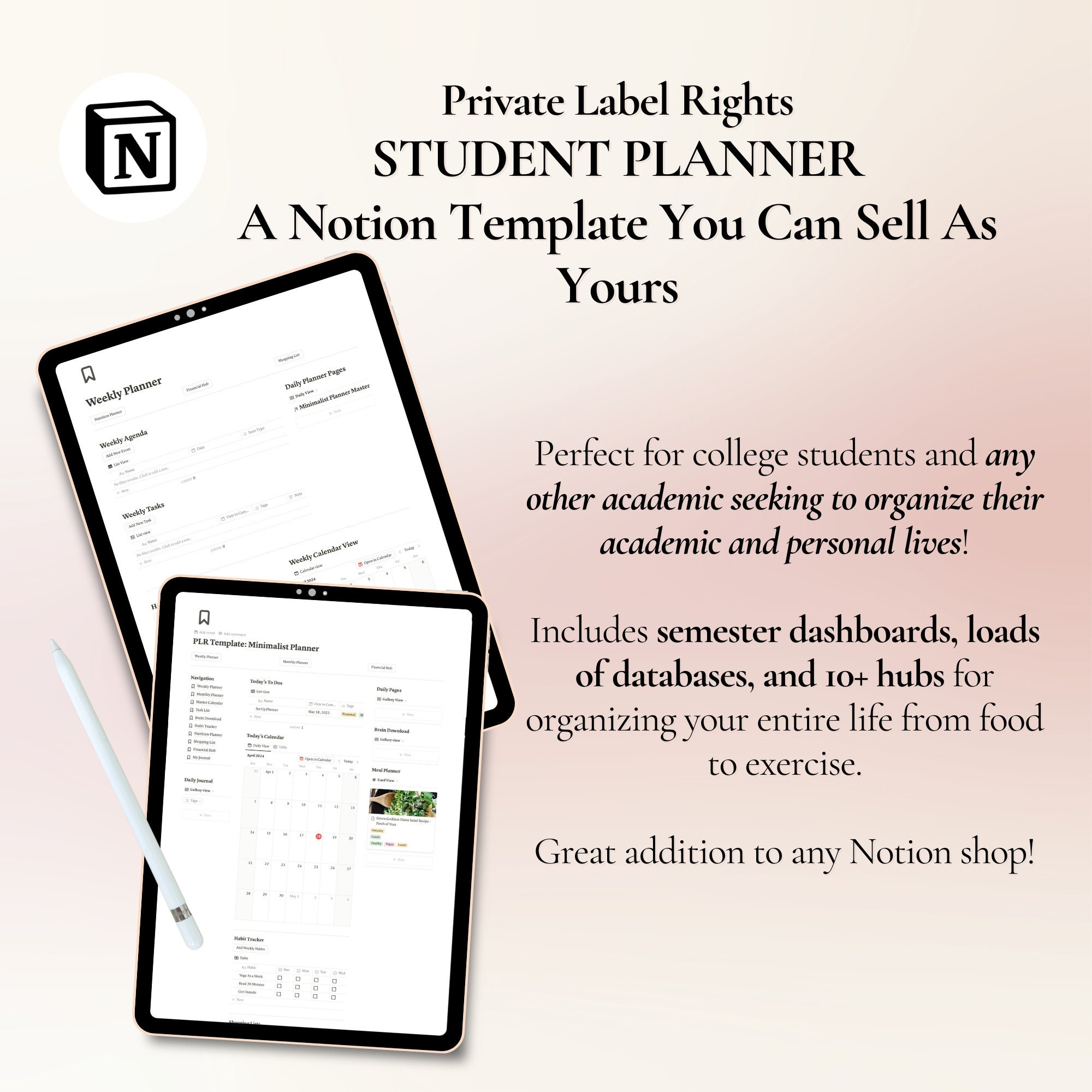 PLR Notion Template Bundle You Can Sell Ultimate Planner Notion ...