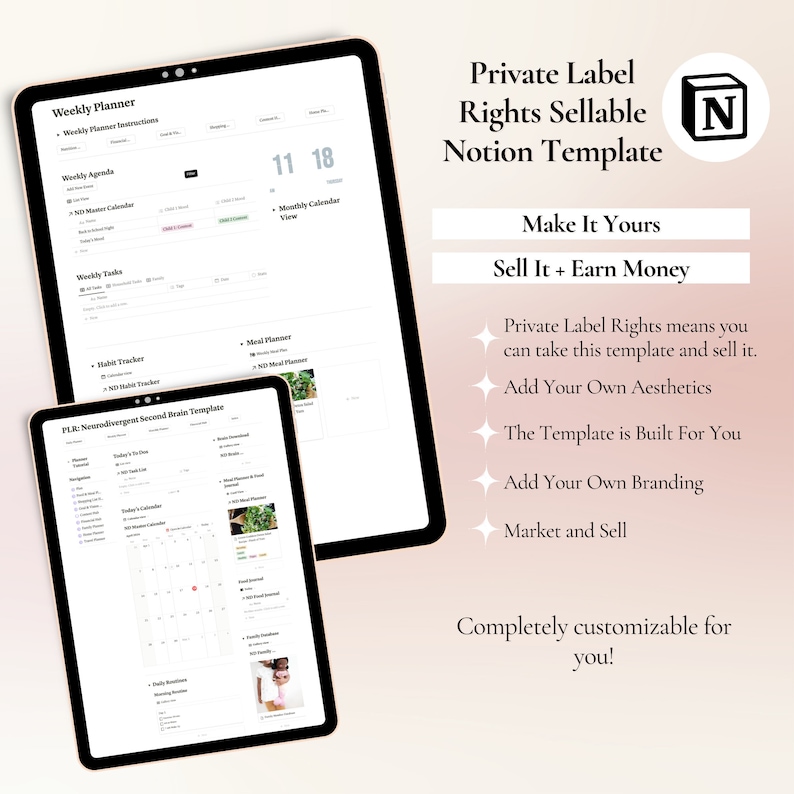 PLR Notion Template You Can Sell ADHD Ultimate Planner Notion Template ...