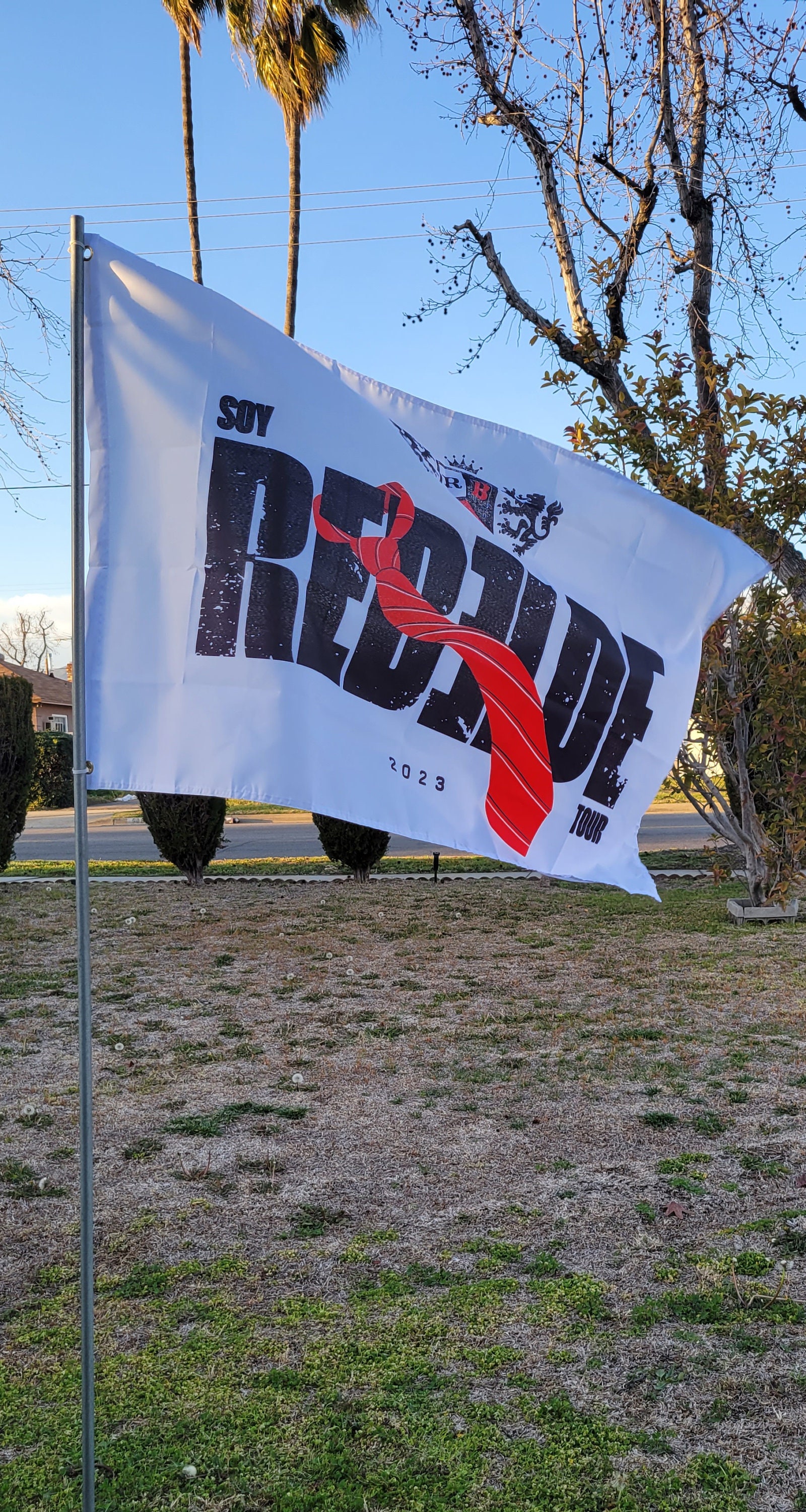 Rbd Flag Rbd Bandera Soy Rebelde Tour 2023 - Etsy