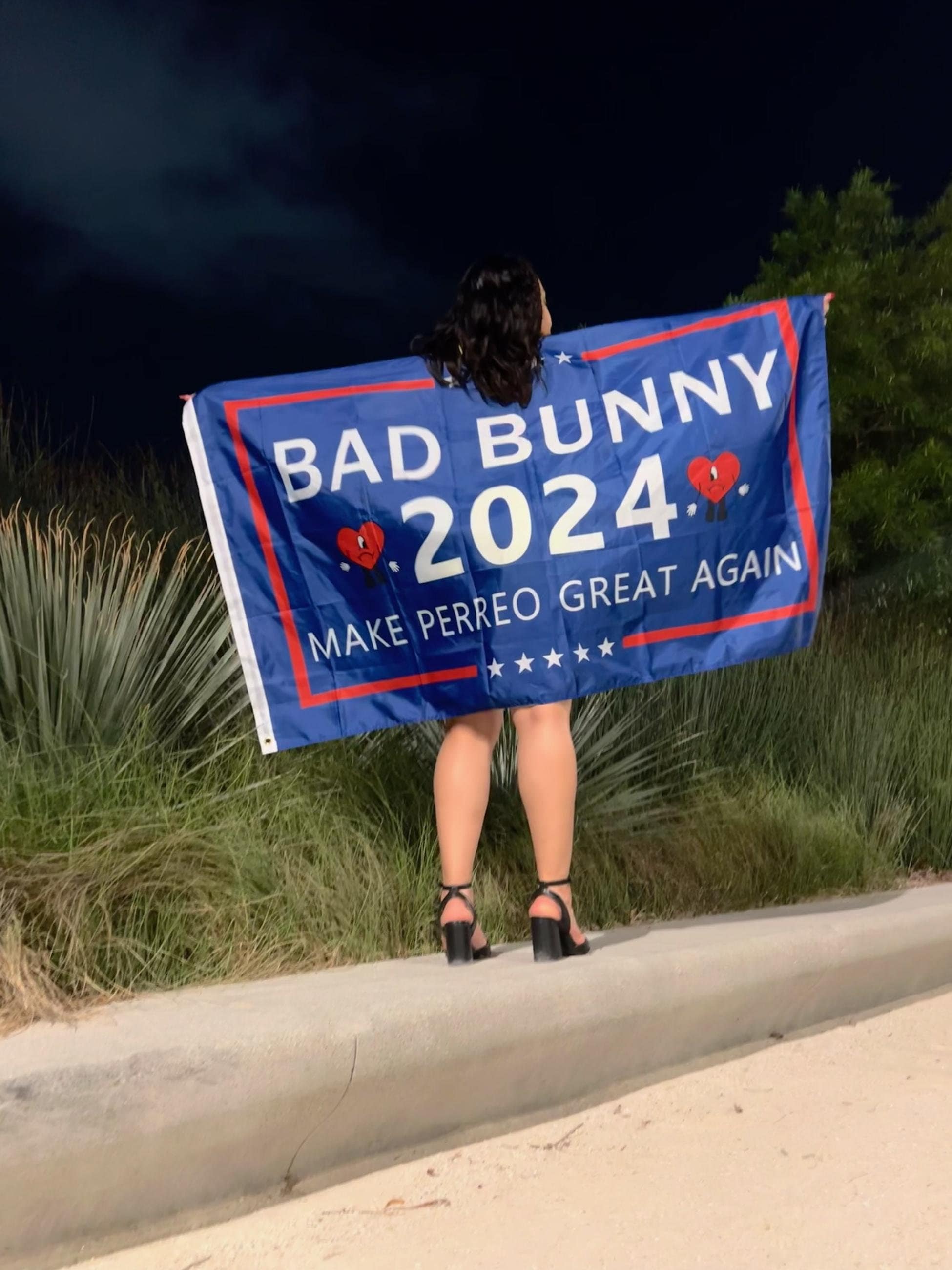 Bad Bunny Flag Bad Bunny 2024 - Etsy