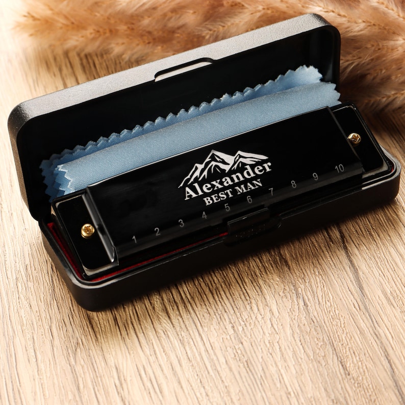 Engraving Stainless Steel Diatonic Harmonica, 10 Holes C Key Beginner ...