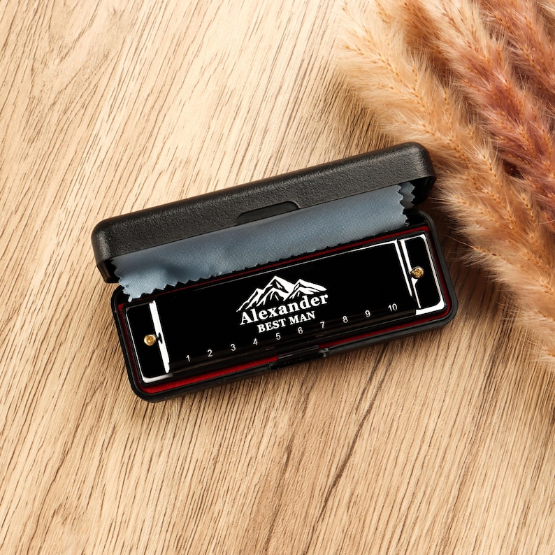 Engraving Stainless Steel Diatonic Harmonica, 10 Holes C Key Beginner ...