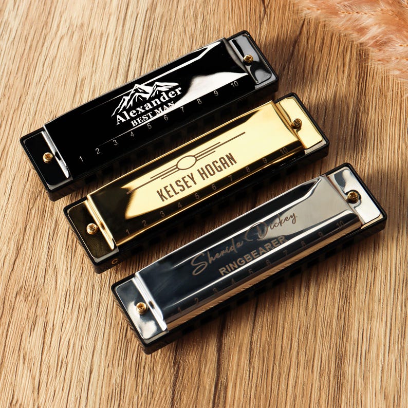 Engraving Stainless Steel Diatonic Harmonica, 10 Holes C Key Beginner ...