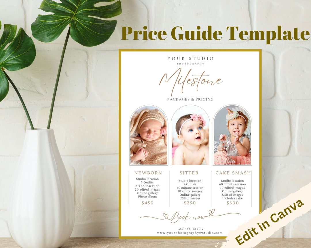 Newborn Milestone Photography Pricing Guide BUNDLE Maternity, Sitter Session, Cake Smash Price ...