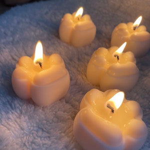 Paw Candle | Cat and Dogs Lovers Candle | Cute Funny Candles - Etsy