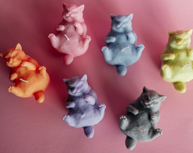 Paw Candle Cat and Dogs Lovers Candle Cute Funny Candles - Etsy