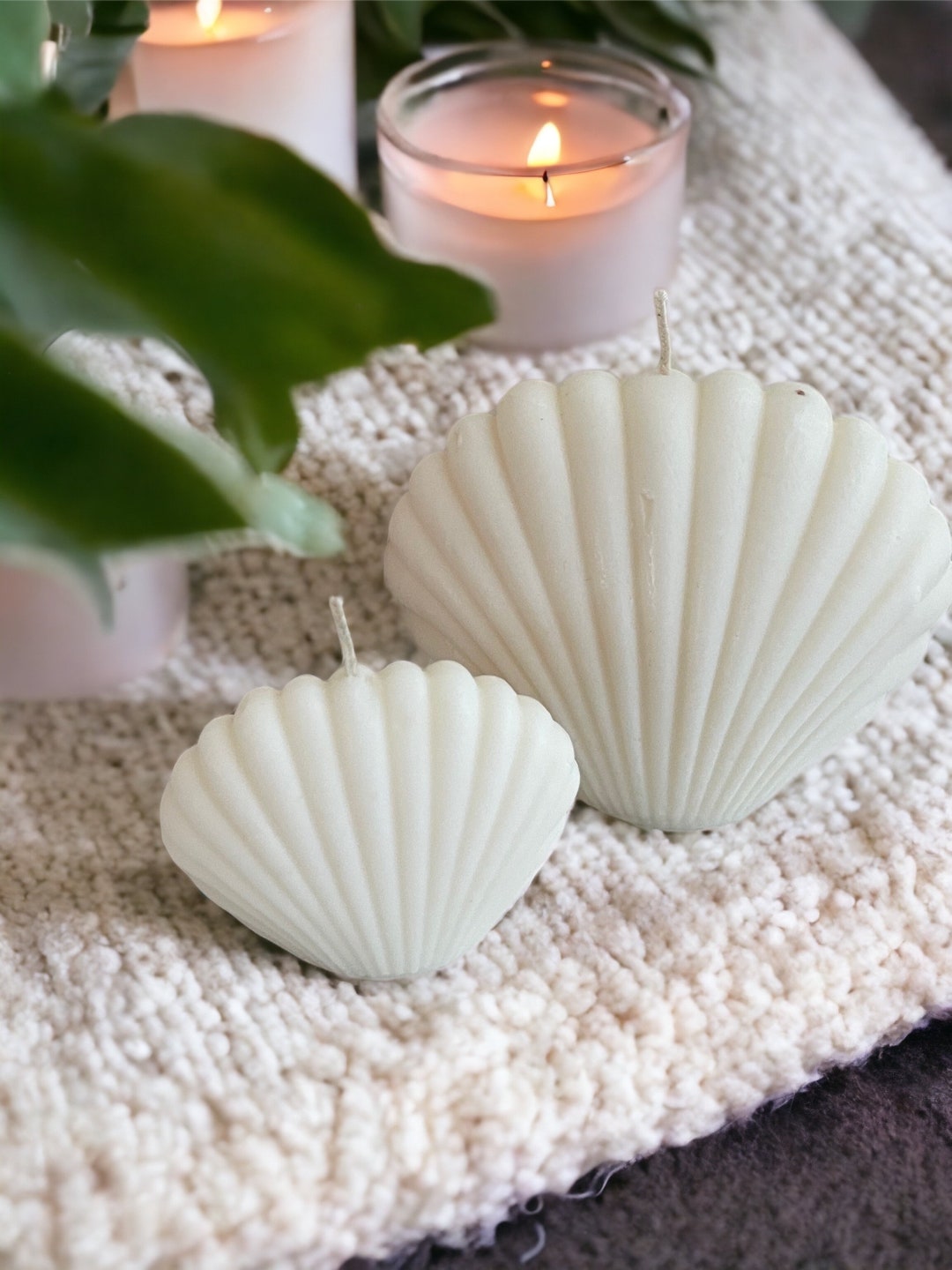 Small and Small Seashell Candles Set of Shell Candles Soy Shell Candle ...