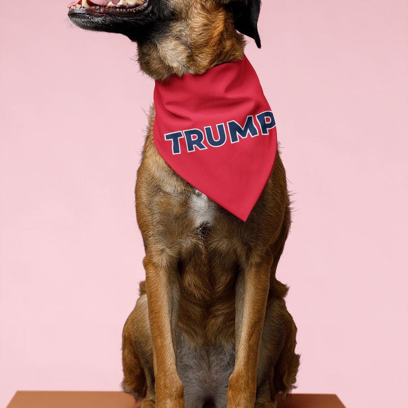 Trump Dog Collar - Etsy