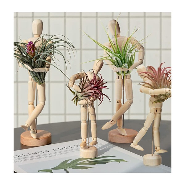 Air Plant Container - Etsy
