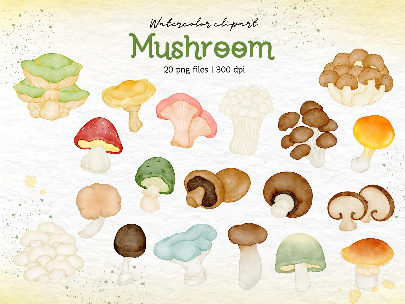 Watercolor Mushroom Clipart Set, 20 PNG Files, Digital Download, Fungi ...