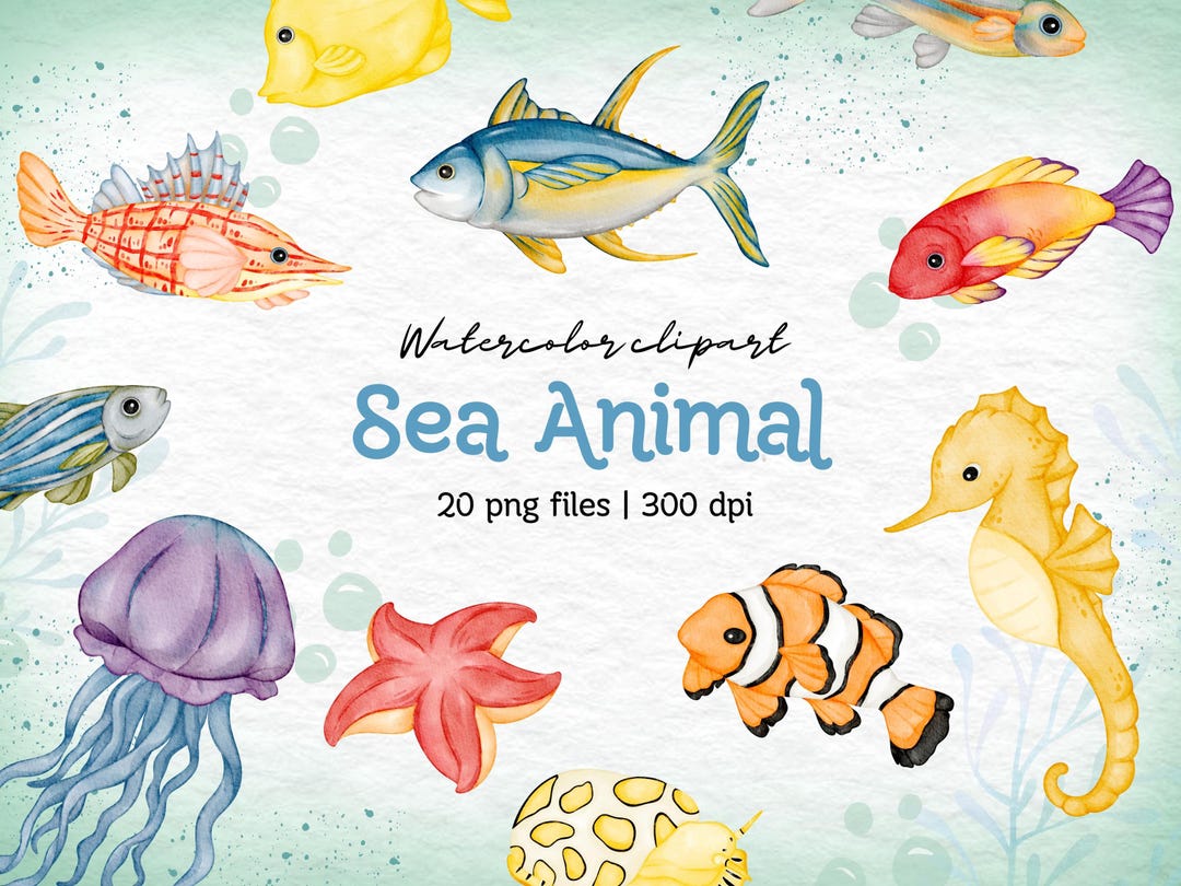Sea Animal Watercolor Clipart, 20 PNG Digital Files, Ocean Creatures ...