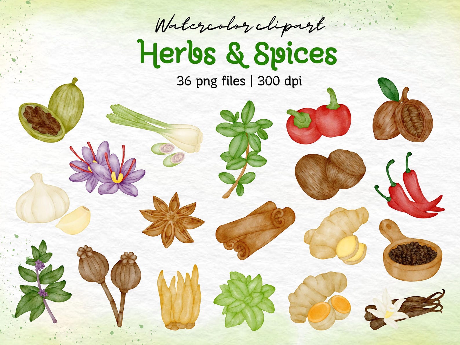 Watercolor Herbs & Spices Clipart, 36 PNG Files, Culinary Herbs ...