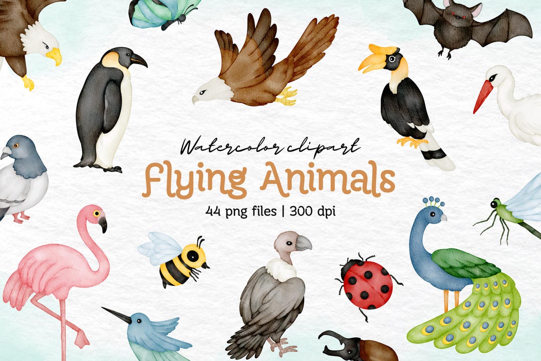 Watercolor Flying Animals Clipart Bundle, Bird, Insect PNG (digital ...