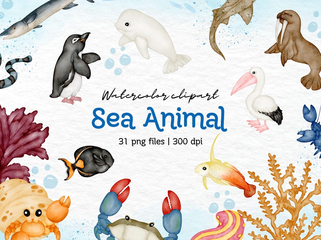 Sea Animal Watercolor Clip Art, Ocean Creatures PNG, Cute Marine Life ...