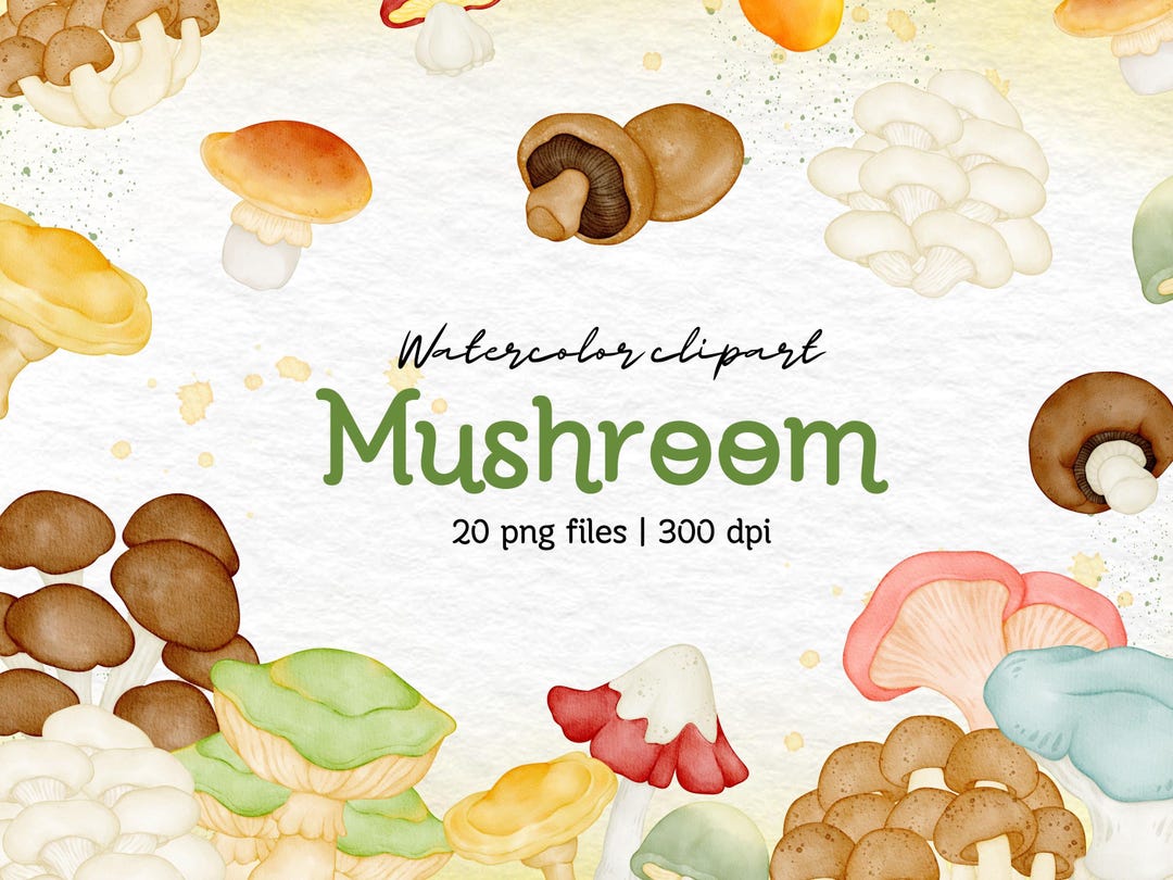 Watercolor Mushroom Clipart Set, 20 PNG Files, Digital Download, Fungi ...