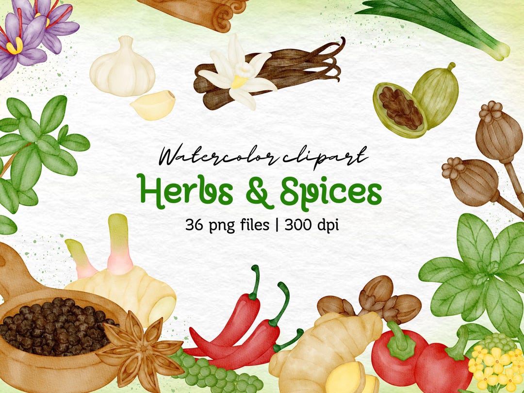 Watercolor Herbs and Spices Clipart Set, 36 PNG Elements, Hand Painted ...