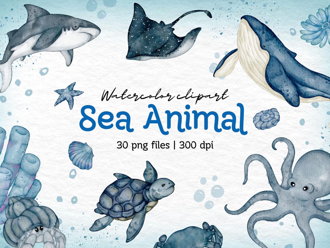 Watercolor Sea Animal Clipart, 30 PNG Files, Ocean Creatures, Digital ...