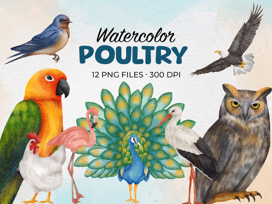 Watercolor Bird Clipart Bundle – 12 PNG Files for Crafts (300 DPI) - Etsy