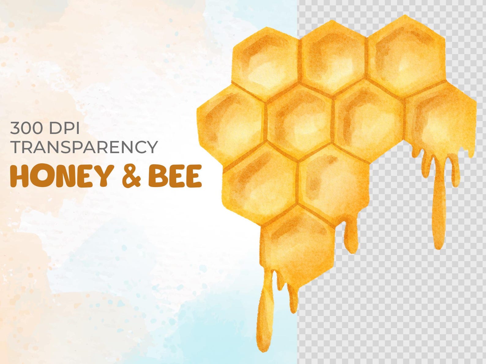 Watercolor Honey Bee Clipart, Honeycomb PNG (digital Download) - Etsy