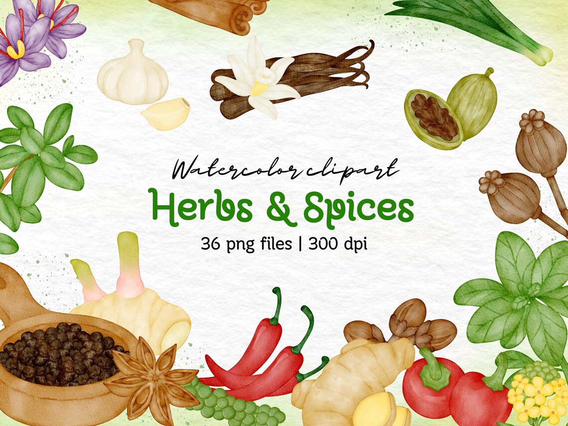 Watercolor Herbs & Spices Clipart, 36 PNG Files, Culinary Herbs ...