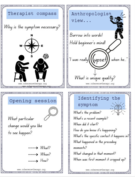 Coherence Therapy Flashcards - Etsy