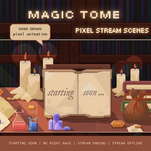 Magic Tome Dnd Stream Scenes: Retro Pixel Animation (digital Download ...