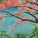 Japan Colorful Tree Print | Japan Travel Photography Wall Art | Fine ...