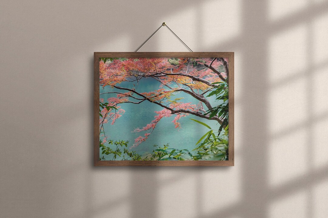 Japan Colorful Tree Print | Japan Travel Photography Wall Art | Fine ...