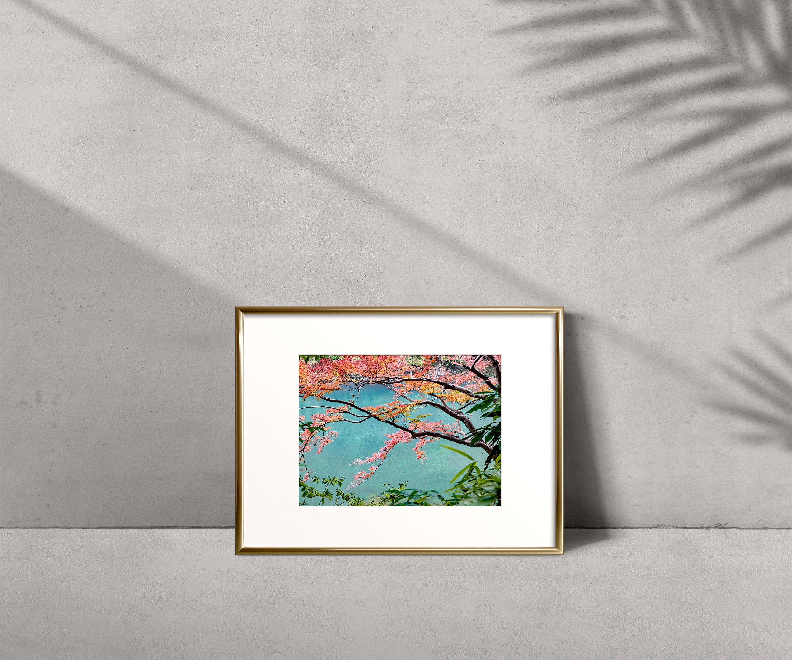 Japan Colorful Tree Print | Japan Travel Photography Wall Art | Fine ...